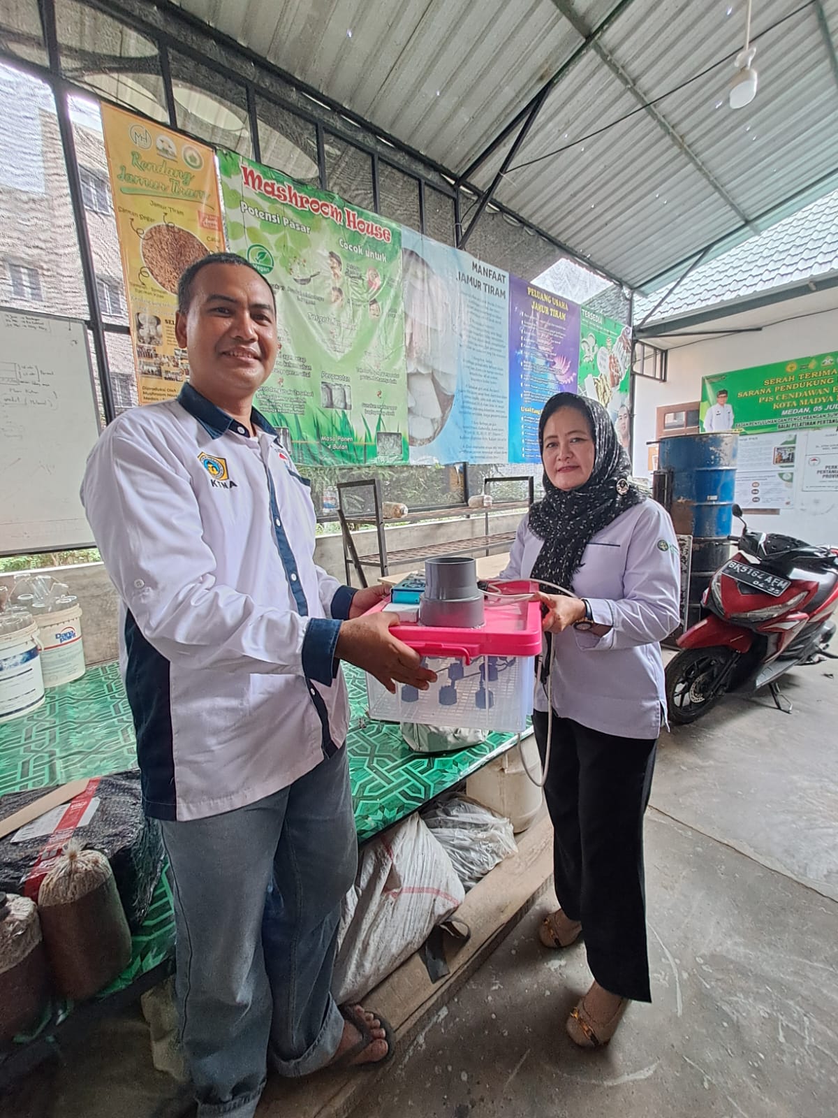 Lion's Mane Mushrooms Are Worth Cultivating In Medan City | Community ...